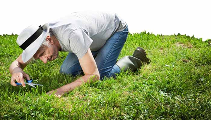 Drumul magilor spre peştera Bethleemului – File de Lumina